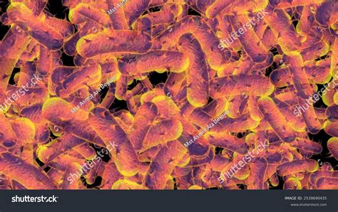 Scientific Diagram Showing How Specific Heat Stock Illustration 2539690435 Shutterstock