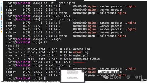 ngnix17 ngnix服务的信号控制值usr2 csdn博客