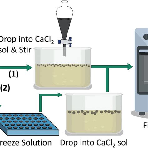 Schematic Illustration Of Fabrication Of Cacl2 Impregnated Eg Alg