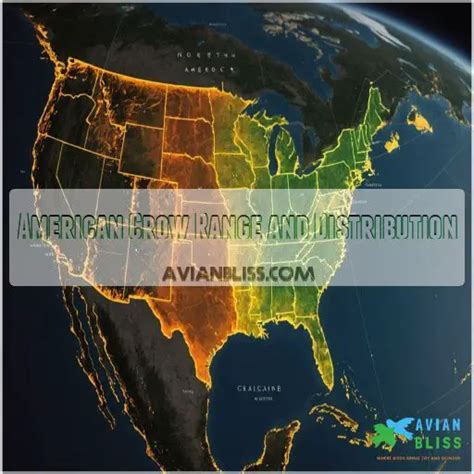 American Crow Guide Smart Social And Surprising