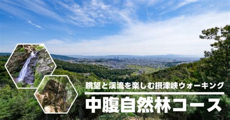 高槻の眺望と渓流を楽しむ摂津峡ウォーキング（中腹自然林コース） 高槻スクランブル