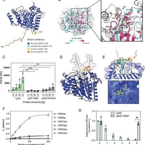 Lphd And Roma Act As Para Effectors During Intracellular Replication L Download Scientific