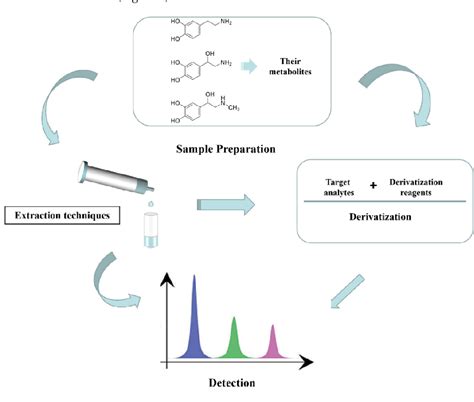 Figure 1 From Current Sample Preparation Methodologies For Determination Of Catecholamines And