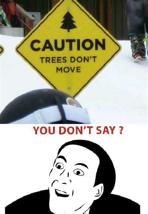 Pin On Funny