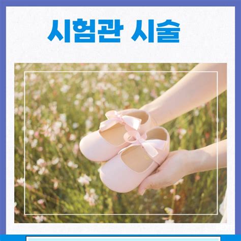 시험관 시술과정 난자 채취 시험관 성공률 네이버 블로그