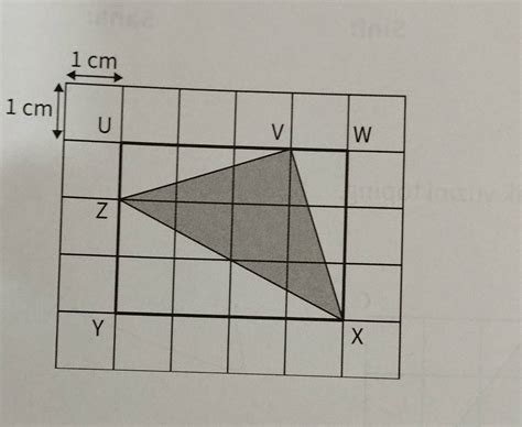 The Diagram Shows A Shaded Triangle Drawn On Studyx