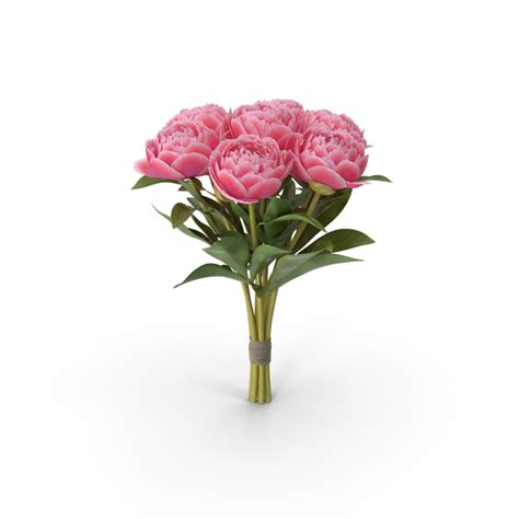 Peony Bouquet Png Images And Psds For Download Pixelsquid S106033945