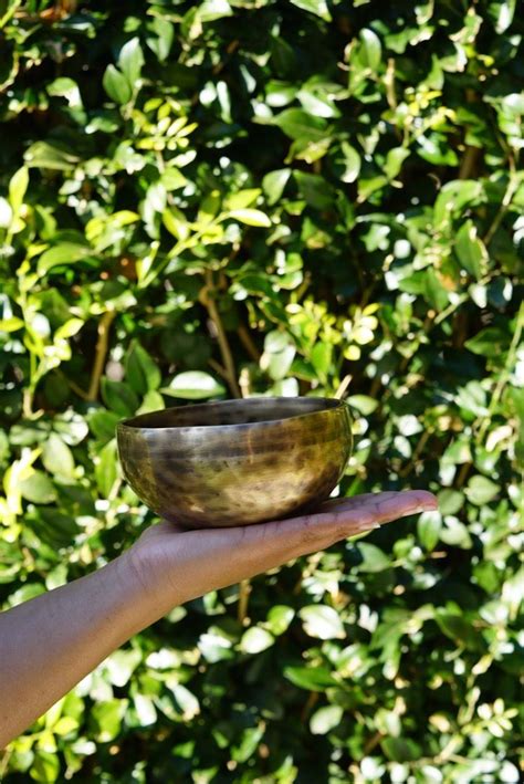 Healing Crown Chaka With Singing Bowl