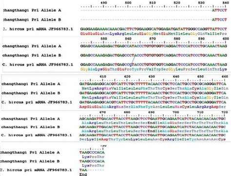 Nucleotide Sequences Of Amplified Fragment Of 196 Bp Of Exon V Of Download Scientific Diagram