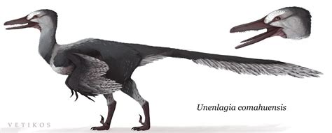 Jurassic Kratts Unenlagia Wild Kratts Fanon Wiki Fandom