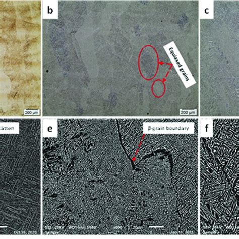 Optical And Sem Micrographs Top Bottom Of Lens Fabricated Ti 64 Download Scientific Diagram