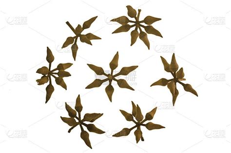 柠檬草冠梨状芽，柠檬香胶素材 花瓣网