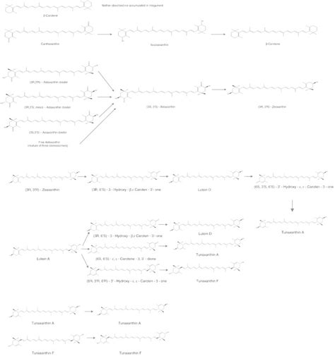 Putative Metabolic Pathways Of Carotenoids In The Integument Of Nile
