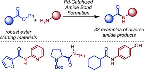 Amide Bond
