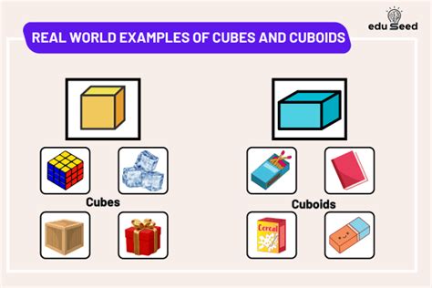 Cubes And Cuboids Definition Properties Formulas Explained