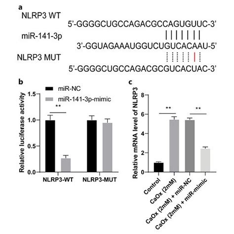 Mir 141 3p Repressed Nlrp3 Expression A The Binding Site Between