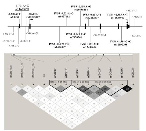 Sgne1 Genetic Variation A And Ld B Maps Genetic Variation Map Download Scientific Diagram