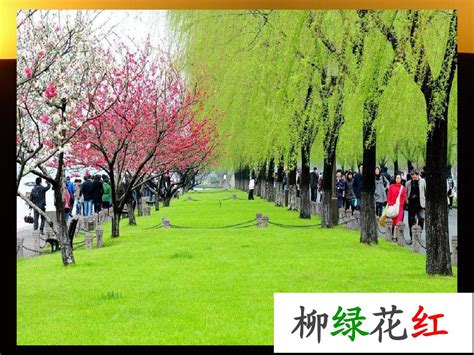 人教版小学一年级语文下册人教版小学一年级语文1柳树醒了 1 精品优质课课件精品优质课课件 word文档在线阅读与下载 无忧文档