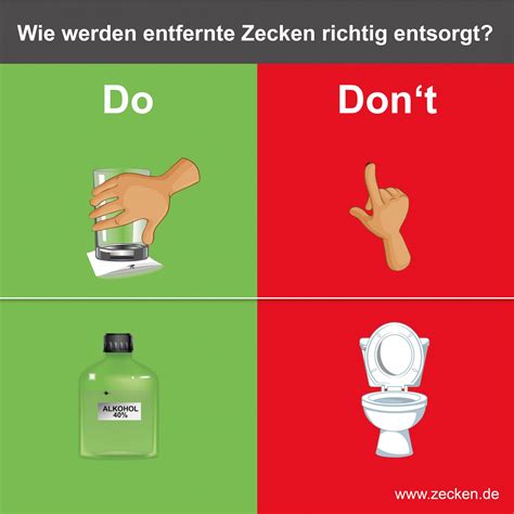 Zecken Richtig Zu Entsorgen Ist Einfacher Als Gedacht Zecken De