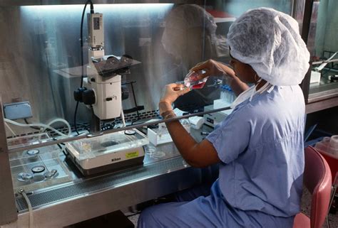 Verity New Alabama Law Will Protect Ivf Providers