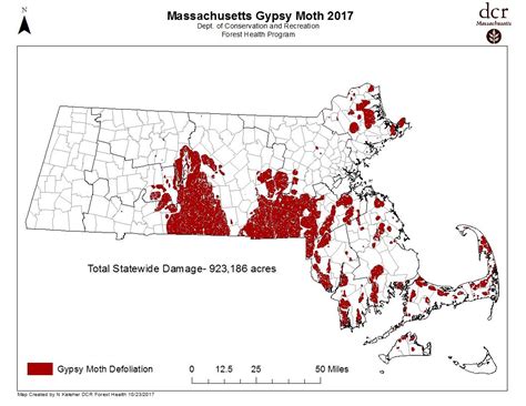 Gypsy Moth In Massachusetts