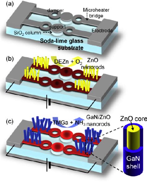 Schematics Of The Fabrication Process For Obtaining Ganzno Coaxial Download Scientific Diagram