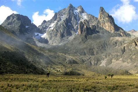 Mt Kenya Climbing Tanzania Joy Tours I Kilimanjaro Climb I Safari