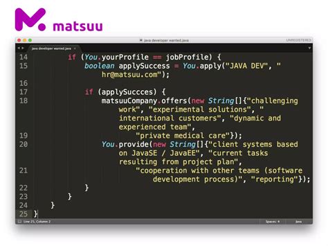 Java Developer Wanted Ppt
