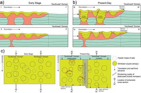 A B Synoptic Cross Section Sketches Illustrating The Evolution Of Download Scientific