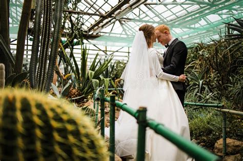 Amazing Smiling Wedding Couple Pretty Bride And Stylish Groom Stock