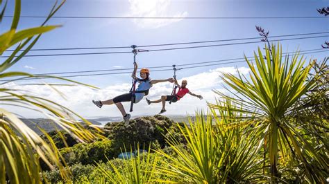 Waiheke Island Zipline Adventure Guided Forest Walking Tour Of Waiheke Island Near Auckland
