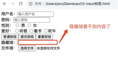 Html 入门手册二html文本框 Csdn博客
