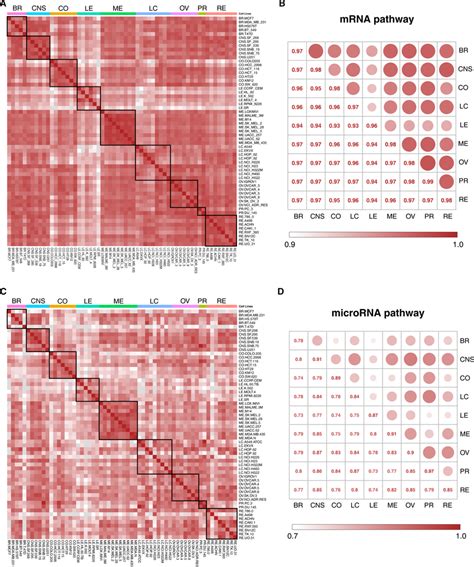 Cell Cell And Tissue‐of‐origin Correlation Pearson Correlation Download Scientific Diagram