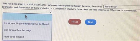 Solved The Nose Has Mucus A Sticky Substance When Outside Air Passes Through The Nose The