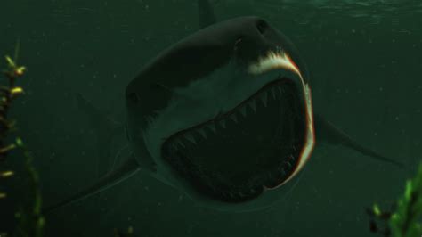Bull Shark Lej Eller Køb Og Stream På Blockbuster