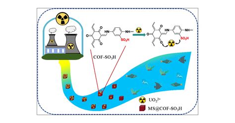 Ultratrace Uranium Removal By Covalent Organic Frameworks On An In Situ Decorated Sponge As
