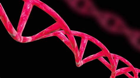 Dna Cartoon Stock Video Footage For Free Download