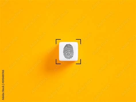 Fingerprint Scan Push Button Encryption And Access Control System For