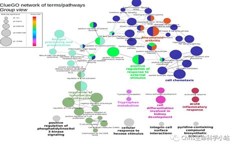 从零到壹Cytoscape插件使用心得 预告篇 腾讯云开发者社区 腾讯云