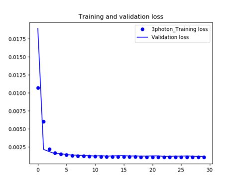 Fig S1 Training And Validation Loss Across Different Epoch Iteration