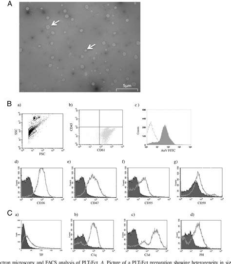 Figure 1 From Microparticles Ectosomes Shed By Stored Human Platelets