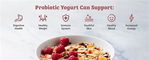 Ultimate Probiotic Yogurt Maker Make Trillions Of Live Probiotics