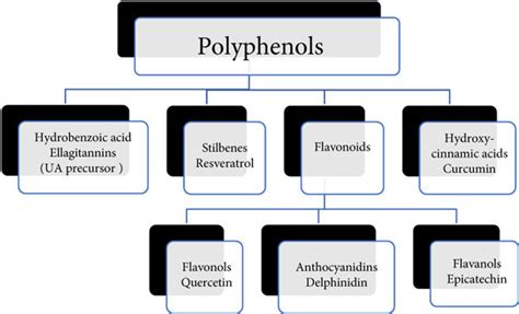 Regulation Of Foxo3a And Tfeb Transcriptional Control Of Mitophagy By