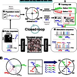 Closed Loop Algorithm