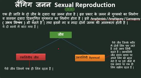 लैंगिग जनन Sexual Reproduction Download Notes In Pdf Biology Class