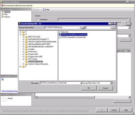 Migrate From Sharepoint 2010 To Sharepoint 2013 Step By Step