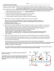 Ls C Week Pre Class Worksheet Pdf Name Ls C Week Pre Class Worksheet Fill Out This