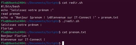 Écrire dans un fichier avec un script Bash sous Linux
