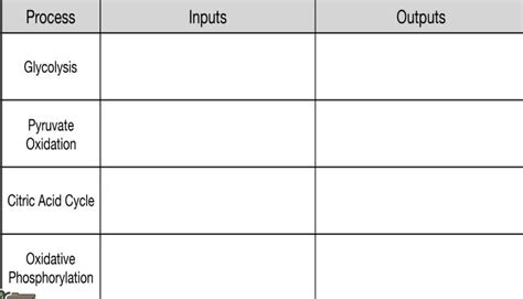 Cellular Respiration Chart Diagram Quizlet