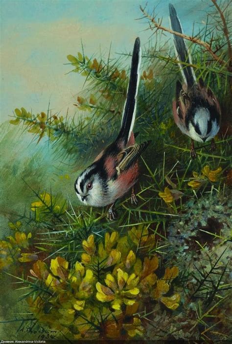 Archibald Thorburn